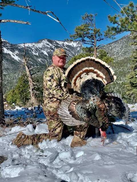 New Mexico Turkey Hunts - Ridgeline Outfitters LLC